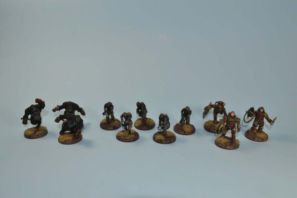 [TMP] "First Dust Figures" Topic