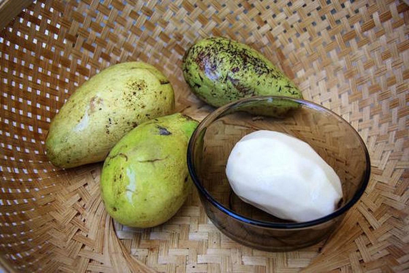 ~WANI BALI~ Rare Mangifera caesia WHITE MANGO Tree GIANT FRUITS Live ...