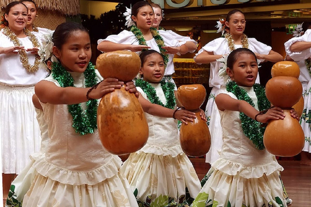 ~IPU~ Native Hawaiian HULA DRUM GOURD VINE cv 'Umeke Collector's Plant ...