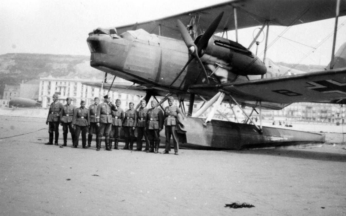 General characteristics