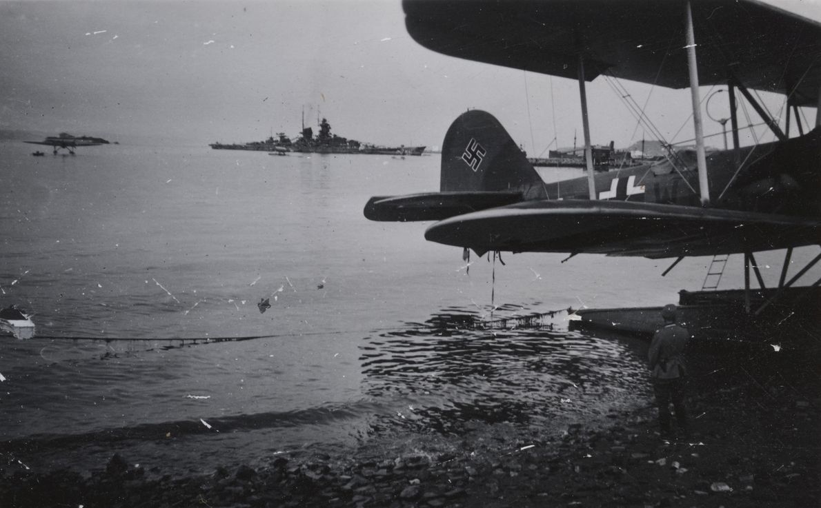 General characteristics