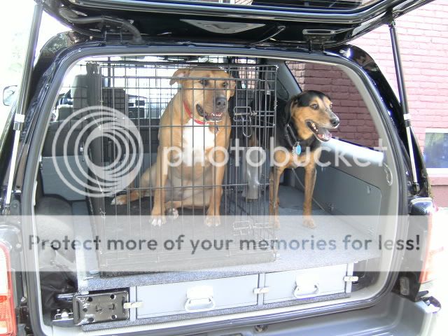 who has dogs? - Page 2 - Toyota 4Runner Forum - Largest 4Runner Forum